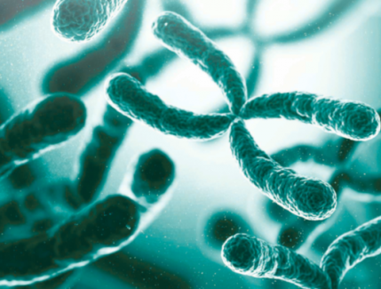 Target enrichment panels with hybridization capture | DYNEX